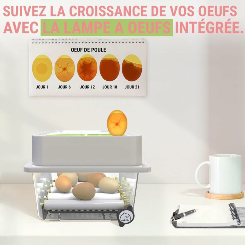 Couveuse automatique 12 oeufs — Okköbi OBI-12 • Poulaillers.com